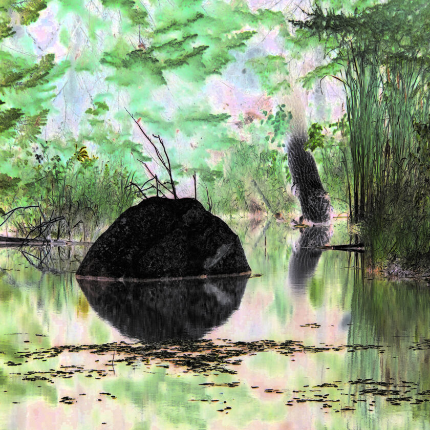 Artists highlight Bloomingdale Bog Trail in new exhibit | News, Sports ...